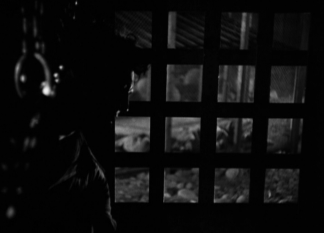 HellsHighway24 – Pre-Code.Com