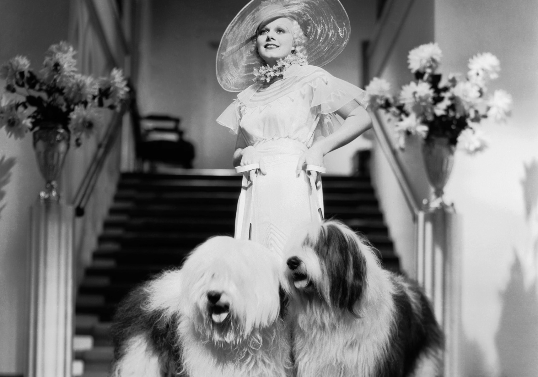 Pre-Code Movies on TCM in June 2019 – Pre-Code.Com